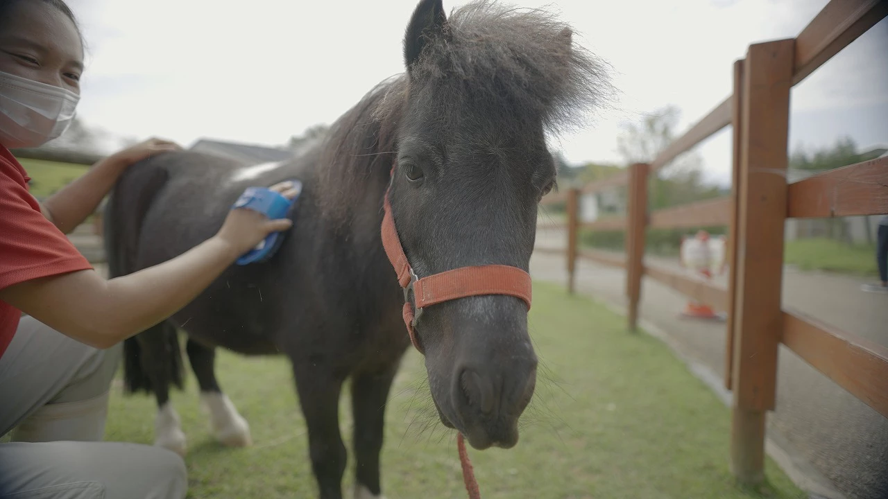 大和高原宇陀ブランド